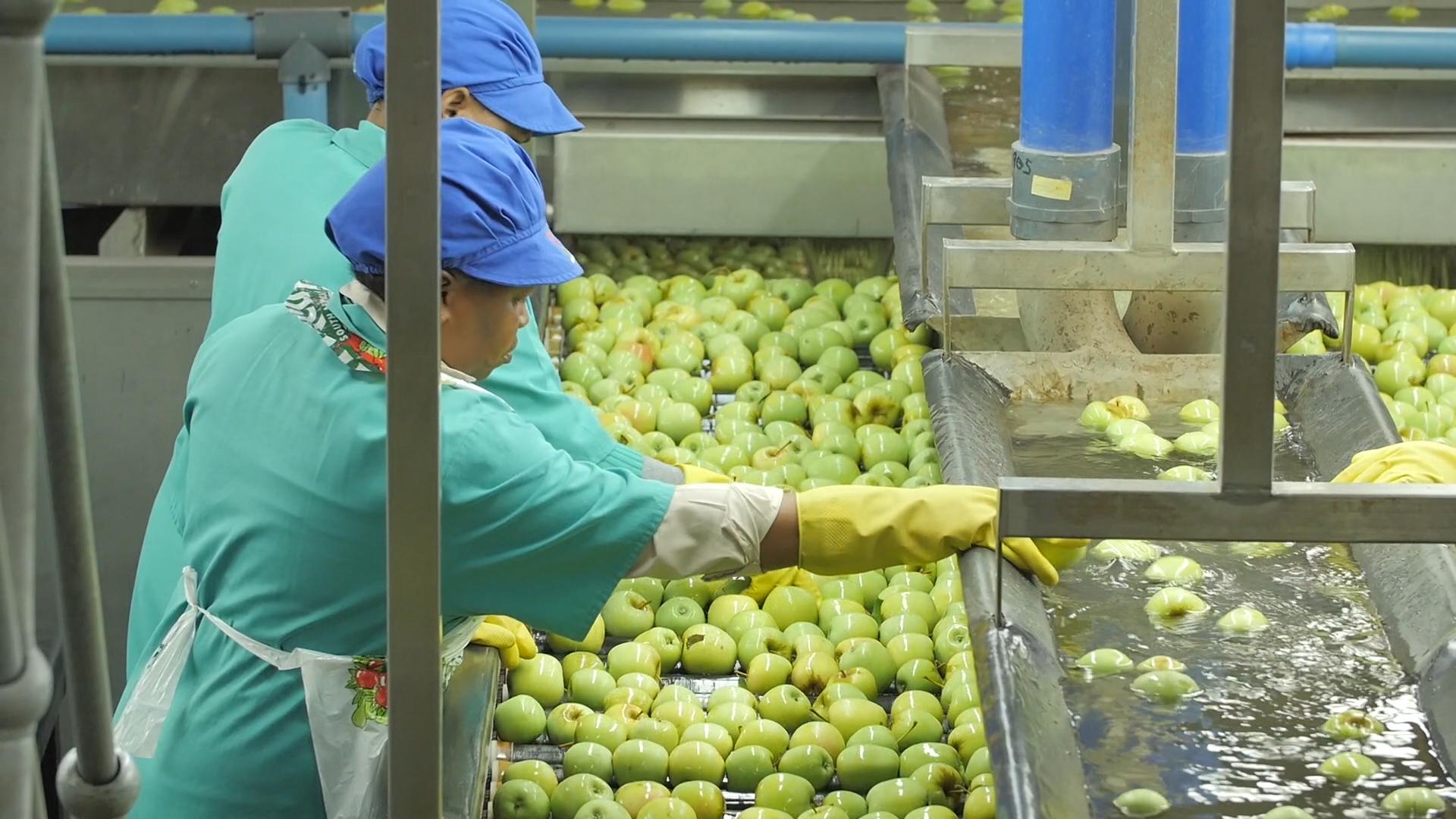 Case: Silverlands - Better harvests and income for small-scale farmers ...